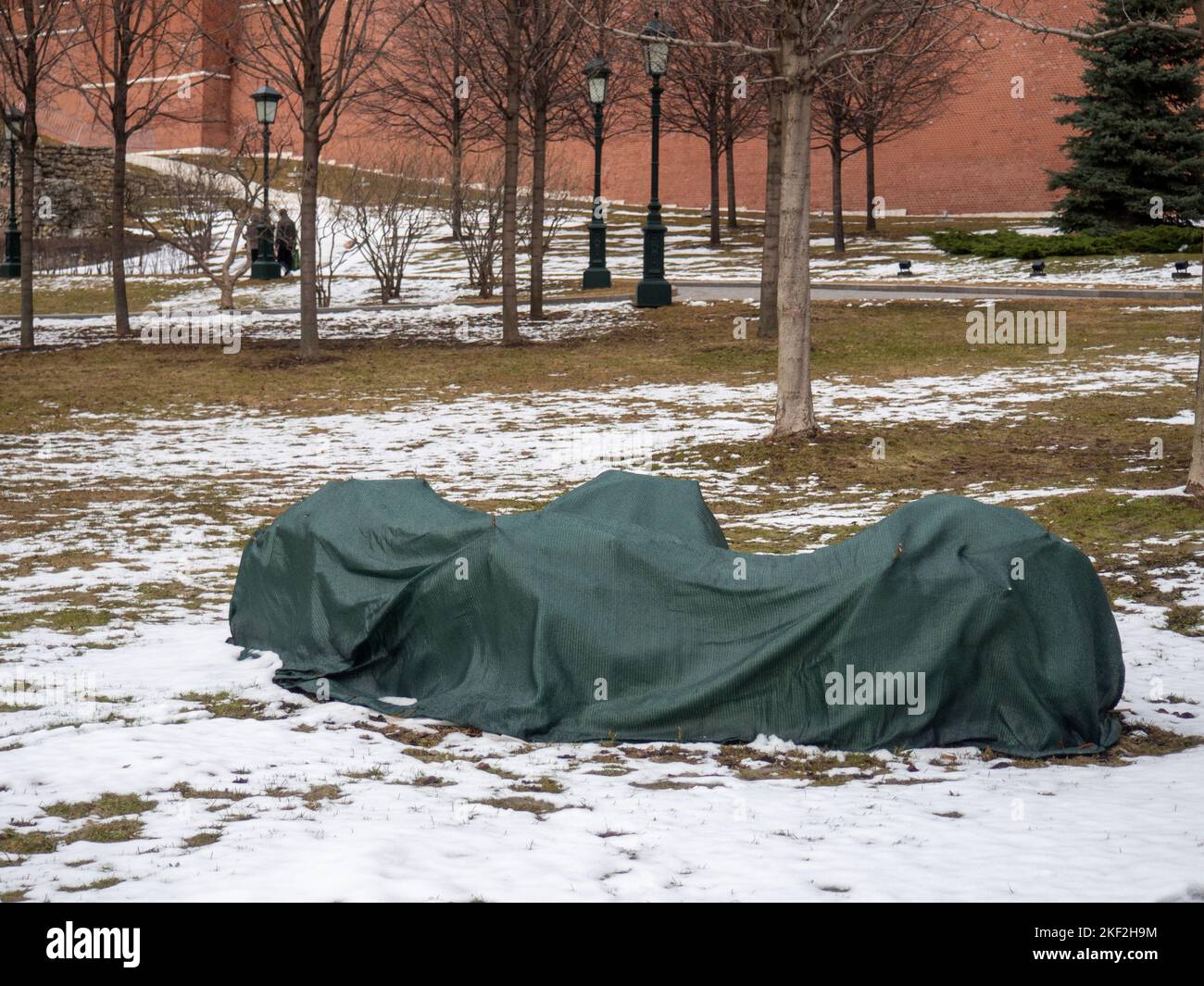 Bushes covered with cloth from the cold. Alley in the park with ...