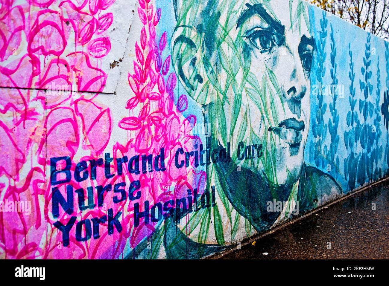 Bertrand Critical care York Hospital, Mural, footbridge, Bootham, York ...