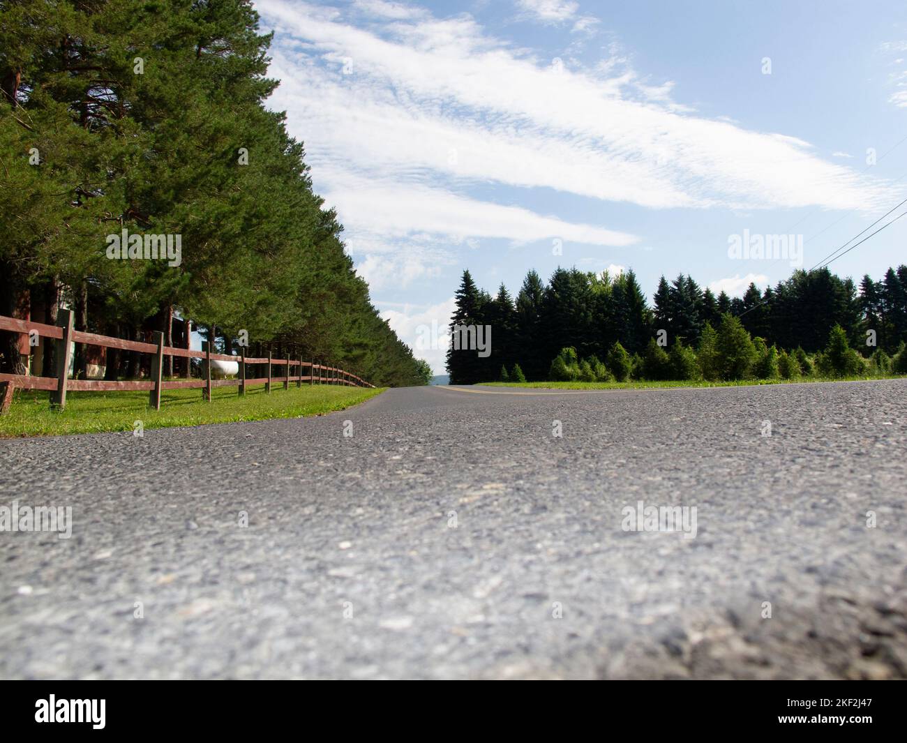 Pennsylvania forest road hi-res stock photography and images - Alamy