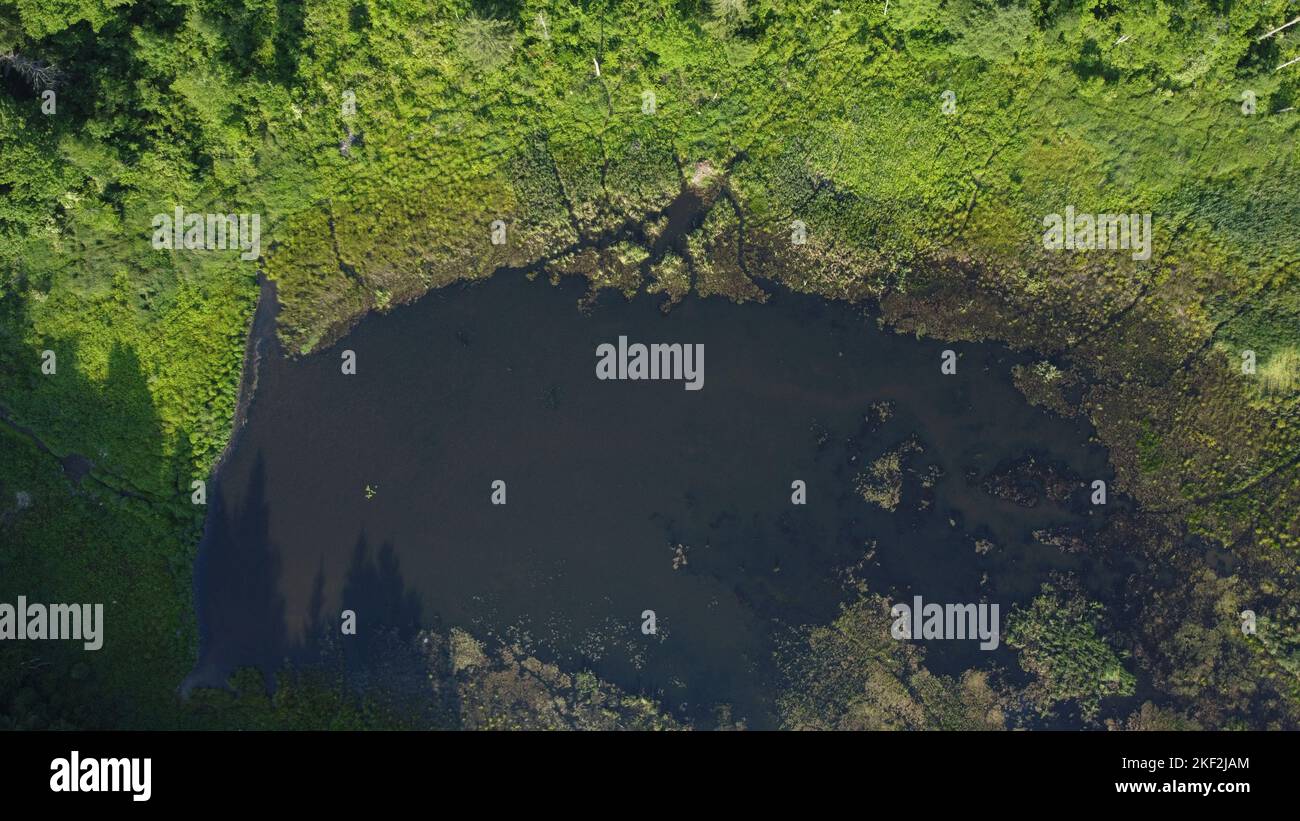 Overhead shot flooded swamp hi-res stock photography and images - Alamy
