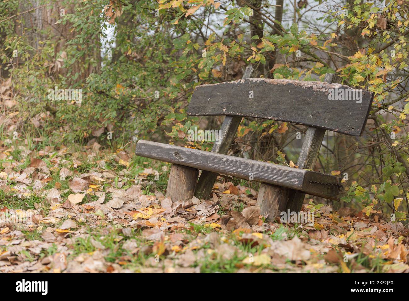 Old people park bench hi-res stock photography and images - Alamy