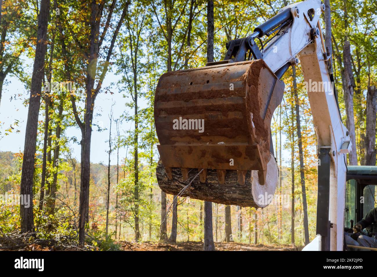 Construction machine lifts log hi-res stock photography and images - Alamy
