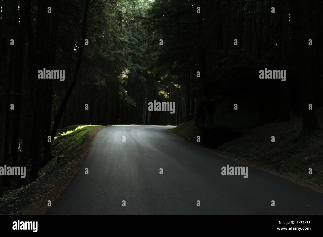 A dark road in a forest at night Stock Photo - Alamy