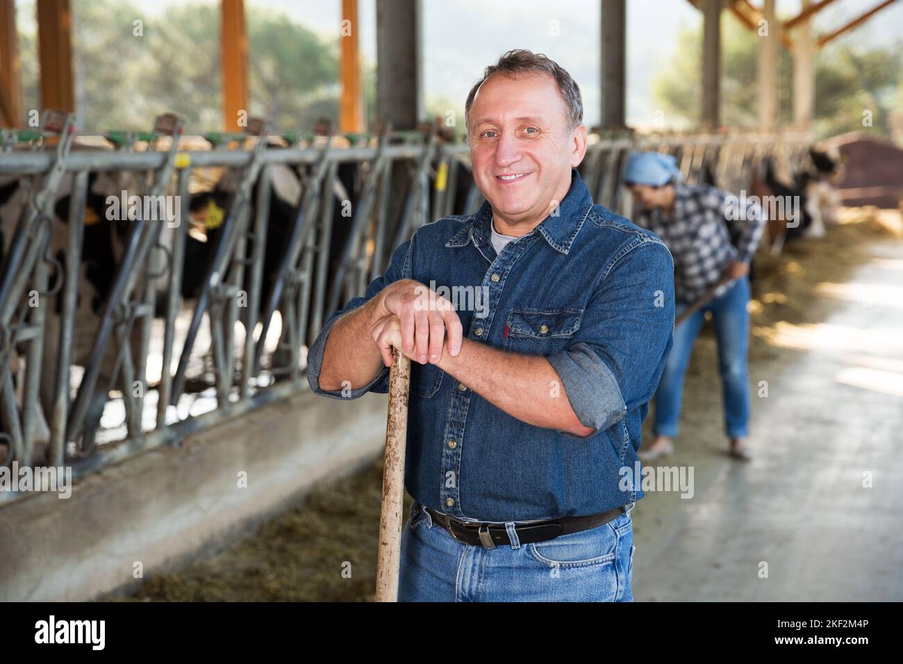 Confident man owner dairy hi-res stock photography and images - Alamy