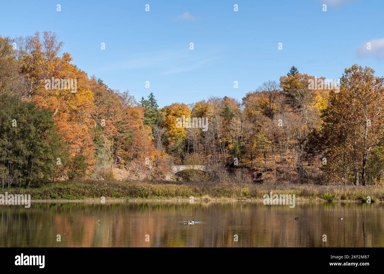 Beebe Lake in autumn on the Cornell University Campus in Ithaca, NY ...