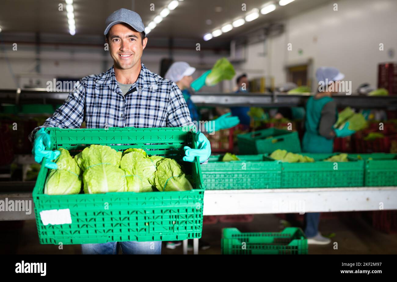 Man working on sorting line at vegetable warehouse, stacking boxes with ...