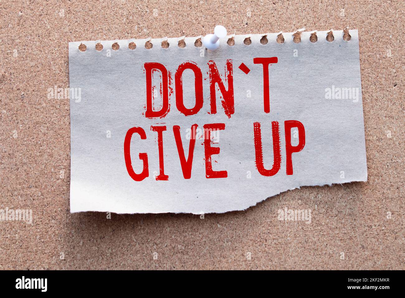 Dont give Up Word Written In Pen Notebook Stock Photo Alamy dont-give-up-word-written-in-pen-notebook-stock-photo-alamy