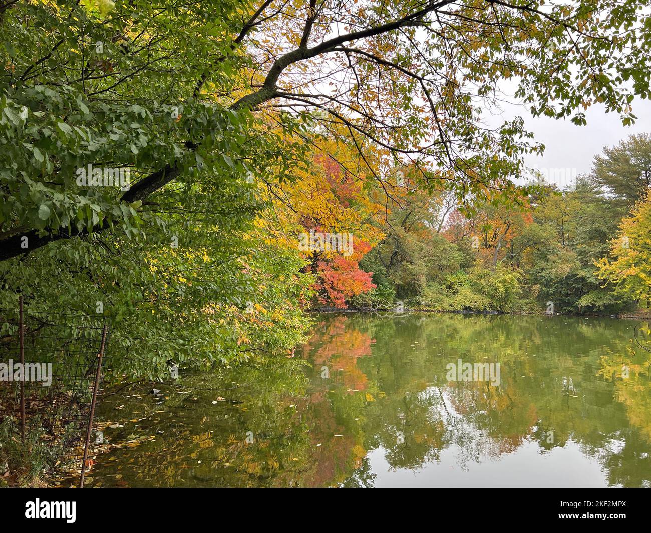 Autumn scene along the lake in Prospect Park, Brooklyn, New York Stock ...
