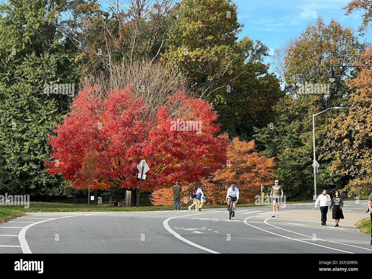 Burst autumn along road hi-res stock photography and images - Alamy