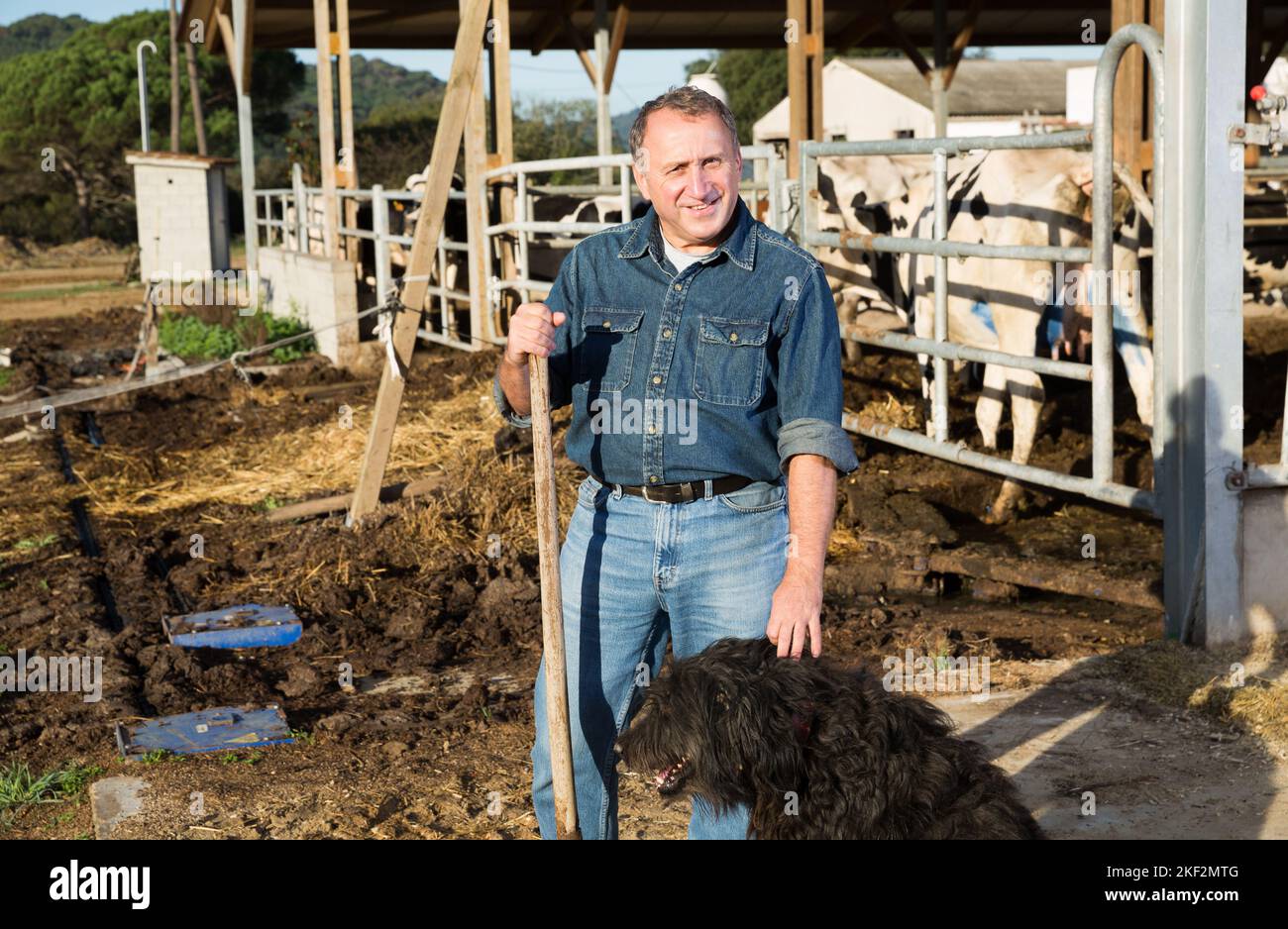 Smiling man on cow farm with dog Stock Photo - Alamy