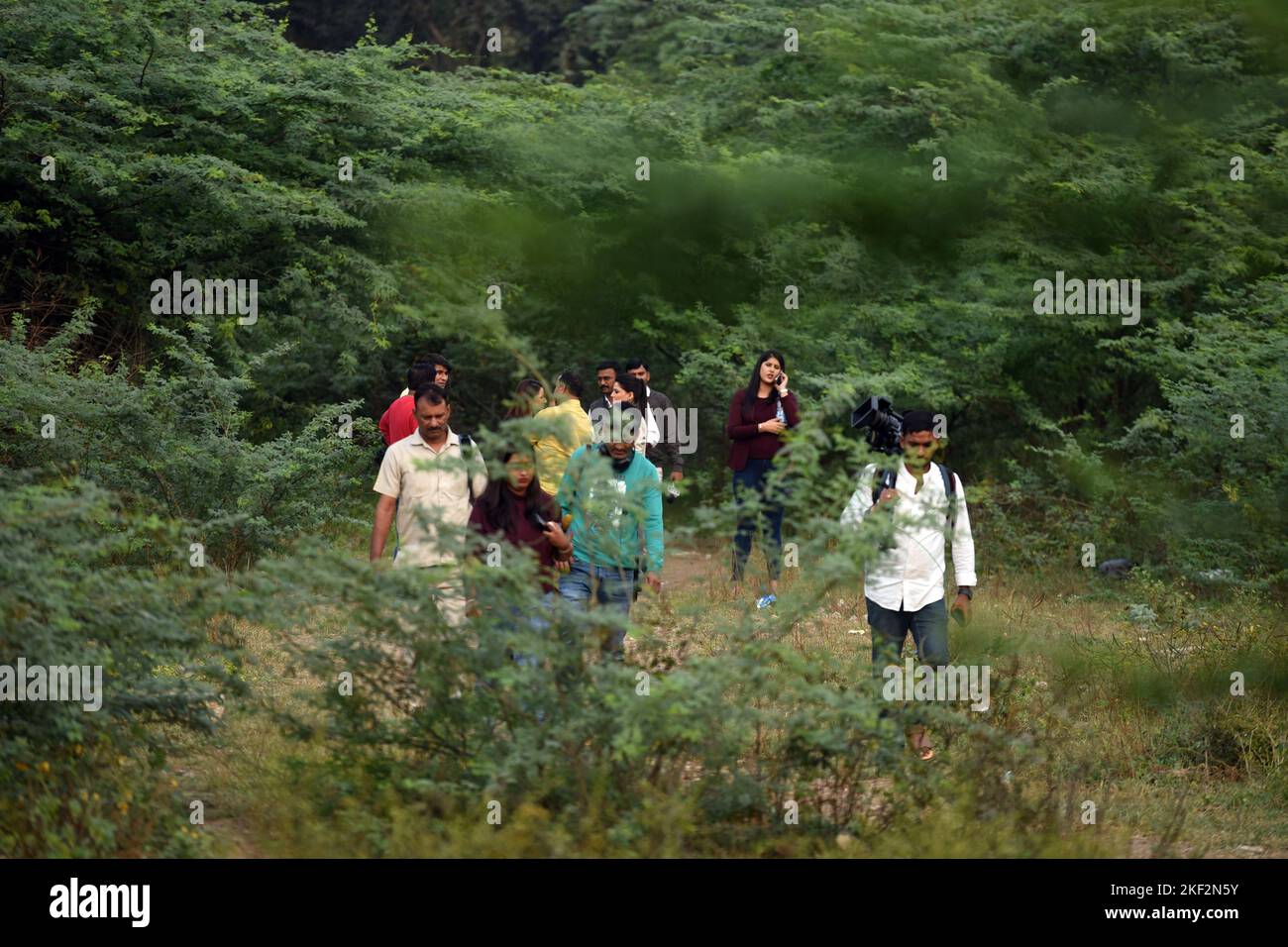 NEW DELHI, INDIA - NOVEMBER 15: A view of a forest where Aftab Amin ...
