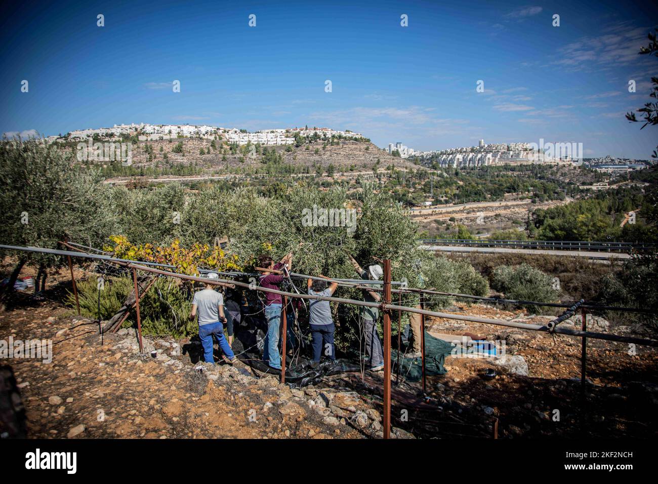 Al Walajah, Israel. 11th Nov, 2022. Israeli activists help Hisham Abu ...
