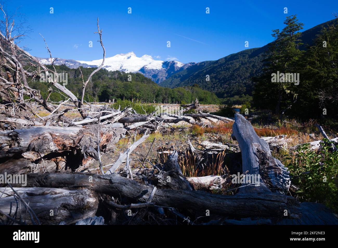 River Cauquenes and Tronador volcano Stock Photo - Alamy