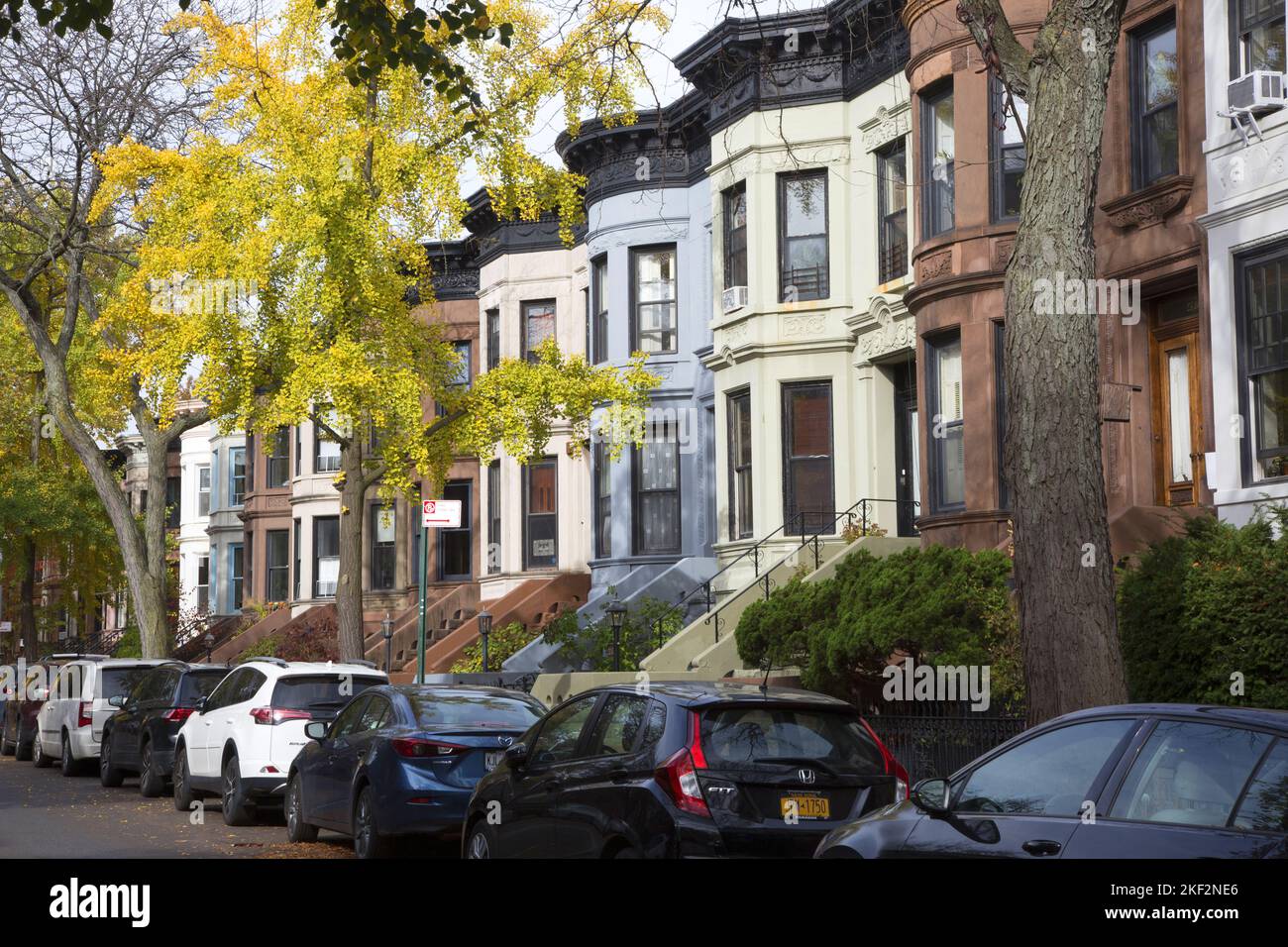 Autumn day on a quiet residential street in the Park Slope neighborhood ...