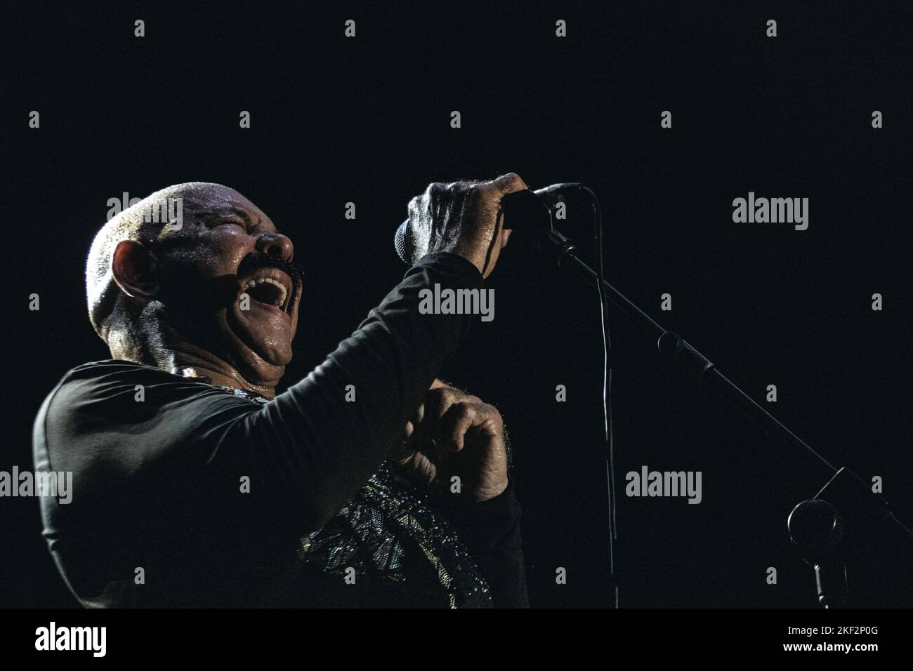 Valencia, Carabobo, VEN. 13th Nov, 2022. November 13, 2022. Guaco, the ...