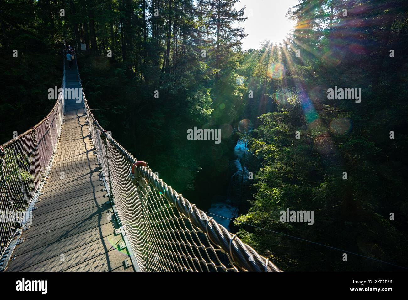Lynn Canyon suspension bridge and forest Stock Photo - Alamy