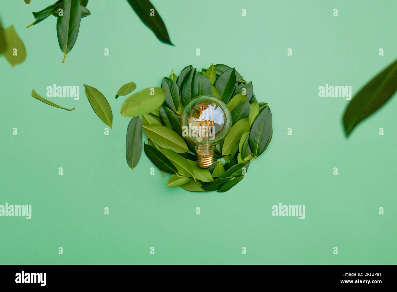 Electricity and green energy .Electric light bulb and flying leaves ...