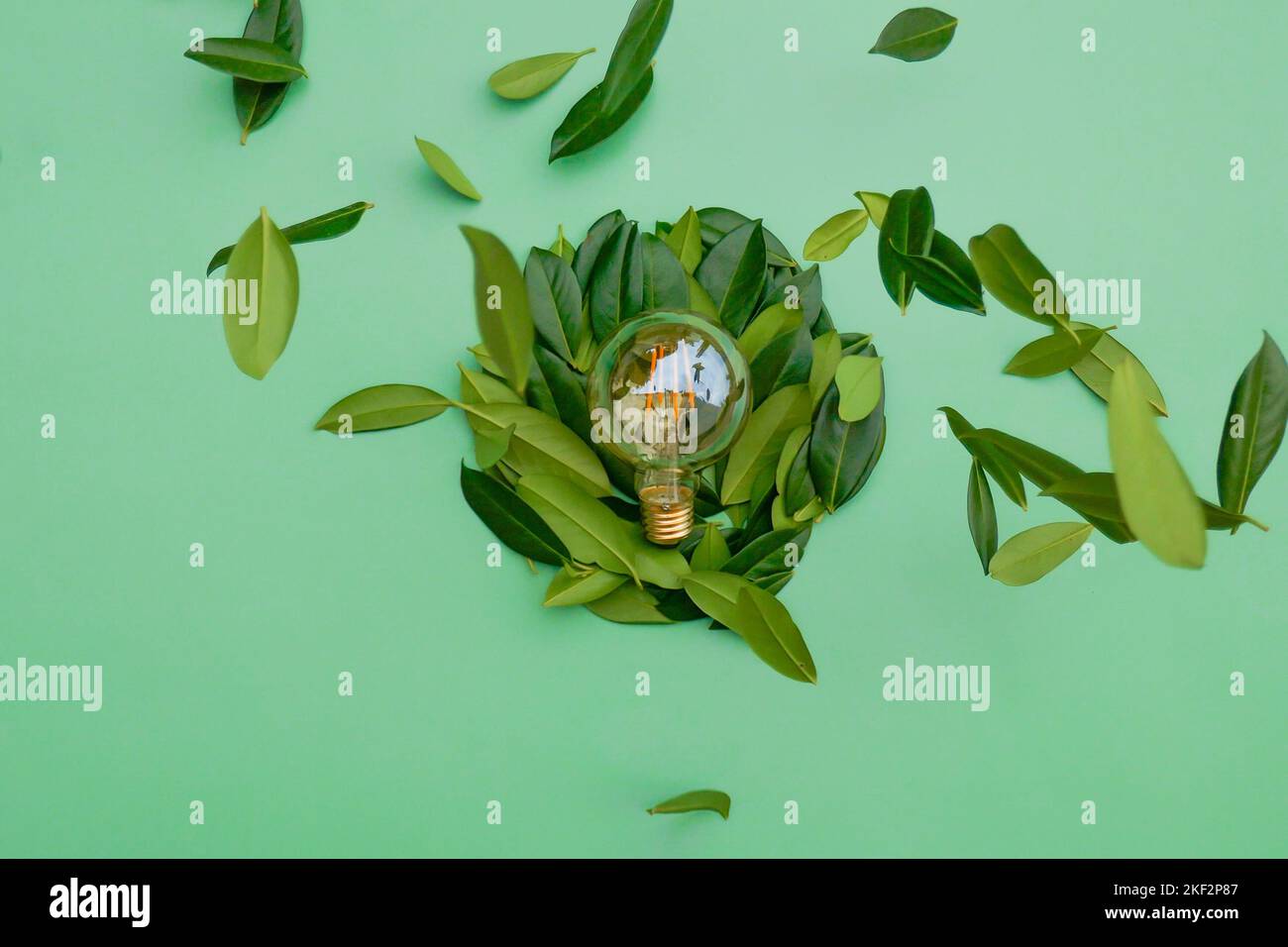 green energy concept.Electric light bulb and flying leaves on a green ...