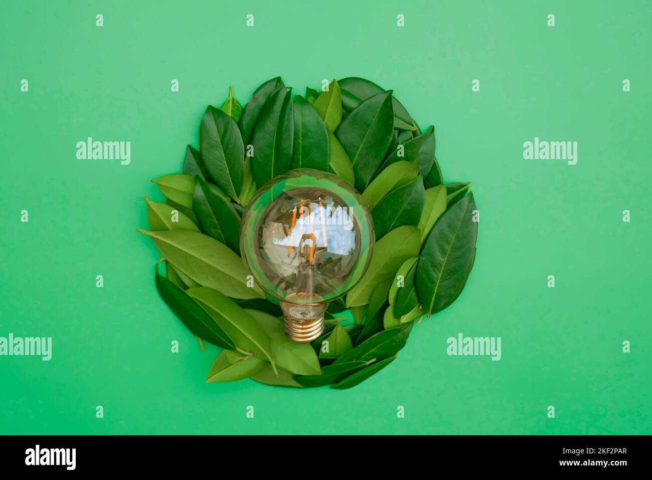 Electricity and green energy.Electric light bulb and green leaves on a ...