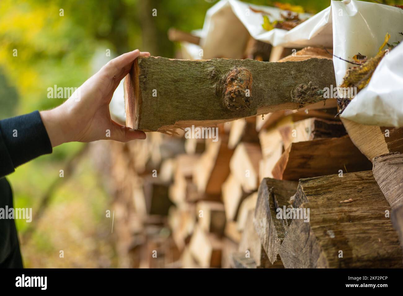 Firewood.hands pulling a log from a woodshed. solid fuel.Male hands ...