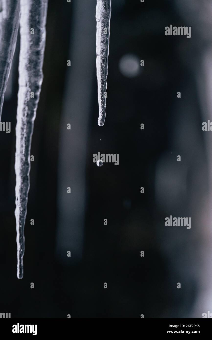 A vertical shot of frozen ice spikes with a blurred background Stock ...