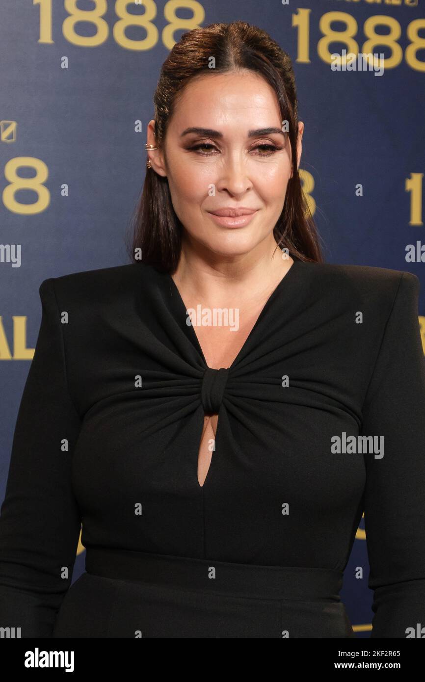 Madrid, Spain. 15th Nov, 2022. Vicky Martin Berrocal attends the ...