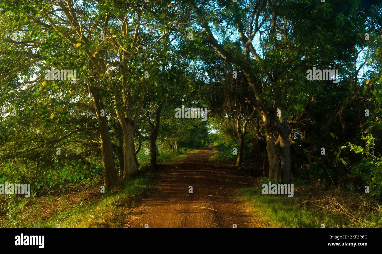 Beautiful landscape photos in Sri Lanka, Visit Sri Lanka Stock Photo ...