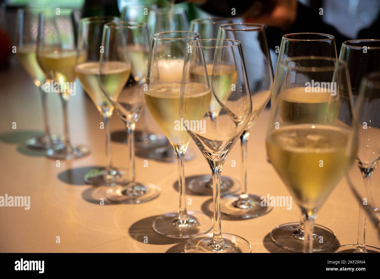 Tasting of brut and reserve grand cru champagne sparkling wine produced by traditional method in ...