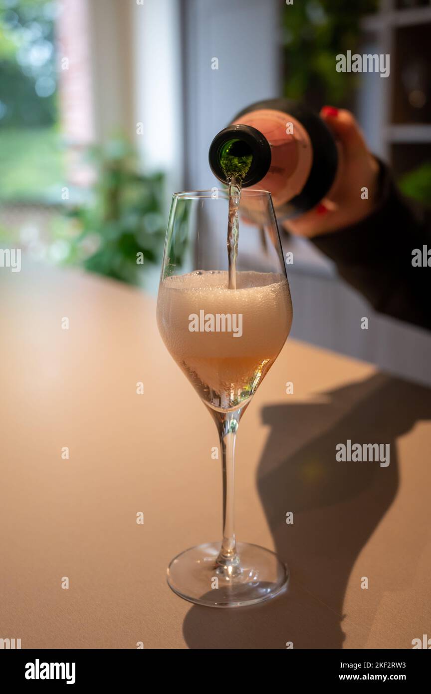 Tasting of rose champagne sparkling wine produced by traditional method in underground caves in ...