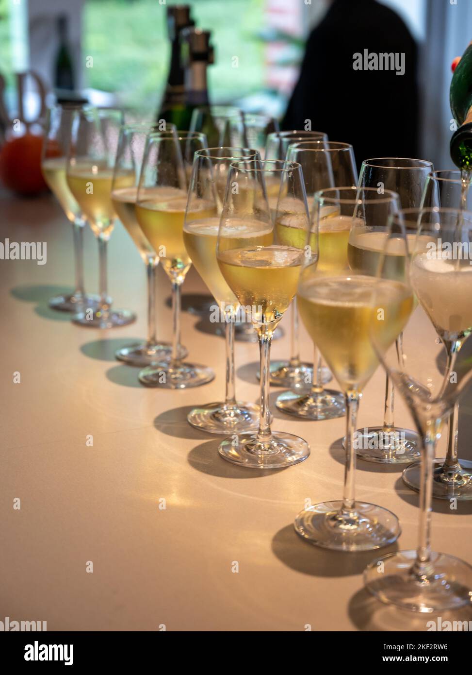 Tasting of brut and reserve grand cru champagne sparkling wine produced by traditional method in ...