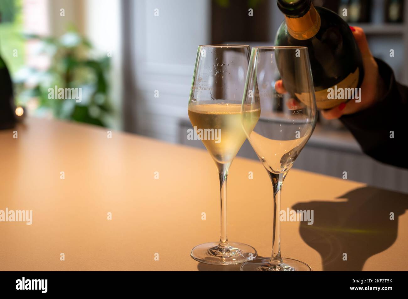 Tasting of brut and reserve grand cru champagne sparkling wine produced by traditional method in ...