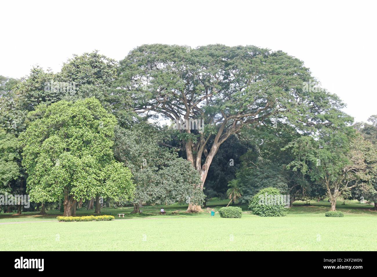 Beautiful landscape shots in Kandy, Sri Lanka. Visit Sri Lanka Stock ...