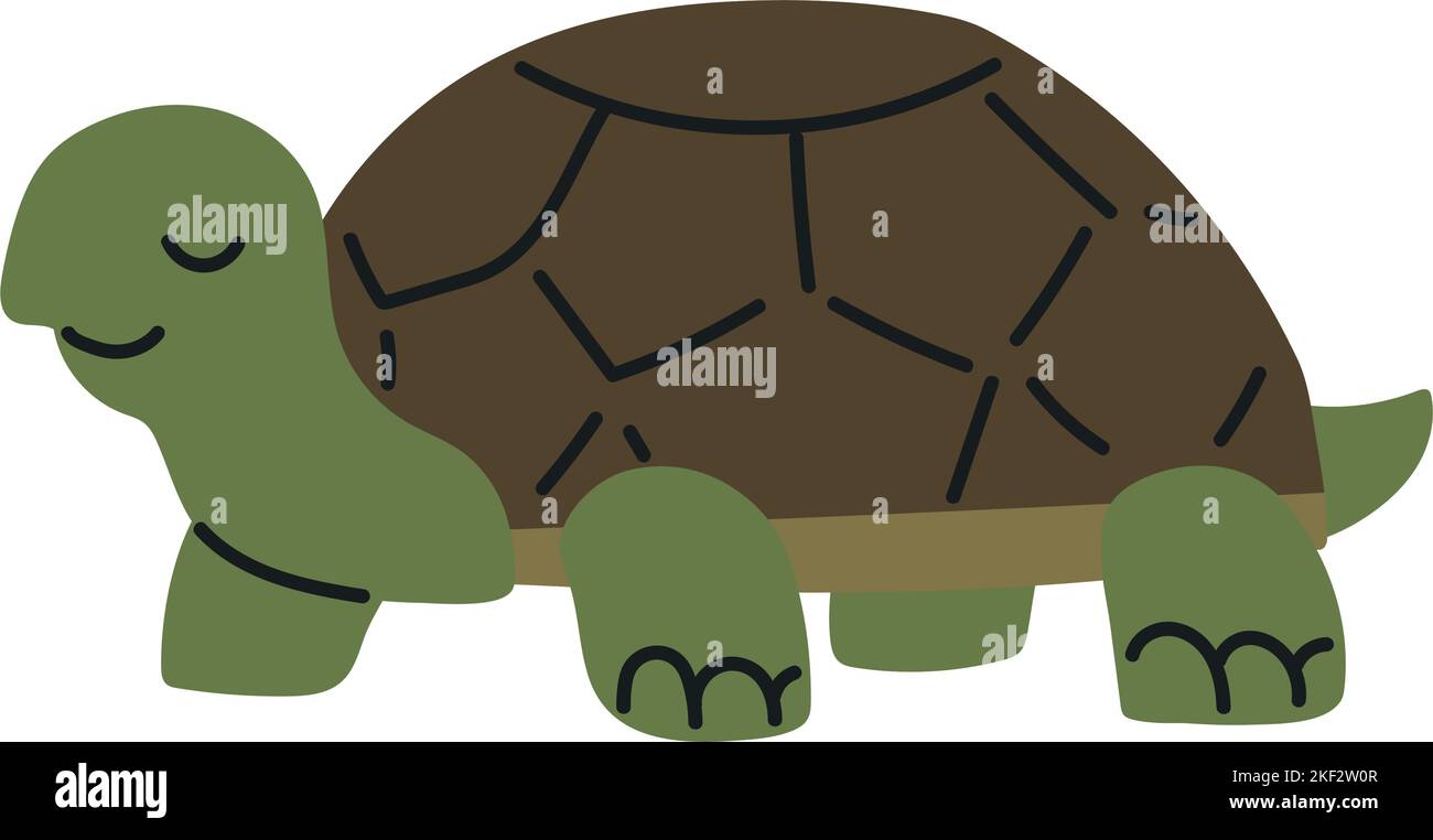 turtle animal icon Stock Vector Image & Art - Alamy
