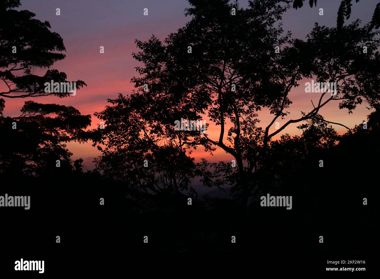 Beautiful landscape shots in Kandy, Sri Lanka. Visit Sri Lanka Stock ...