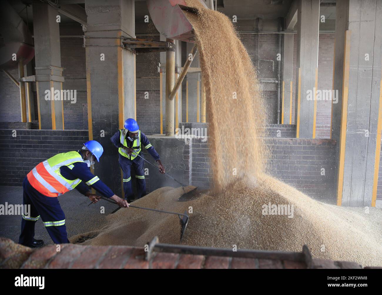 Chegutu, Zimbabwe. 10th Nov, 2022. Workers work at Grain Marketing ...