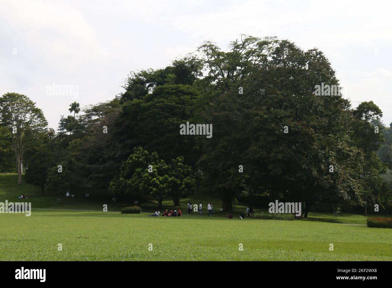 Beautiful landscape shots in Kandy, Sri Lanka. Visit Sri Lanka Stock ...