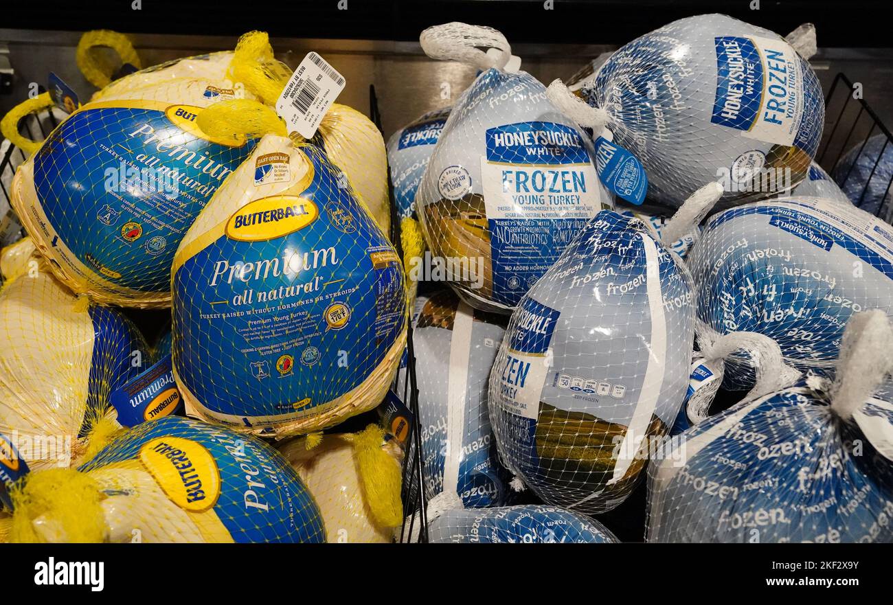 Live bird markets hi-res stock photography and images - Alamy