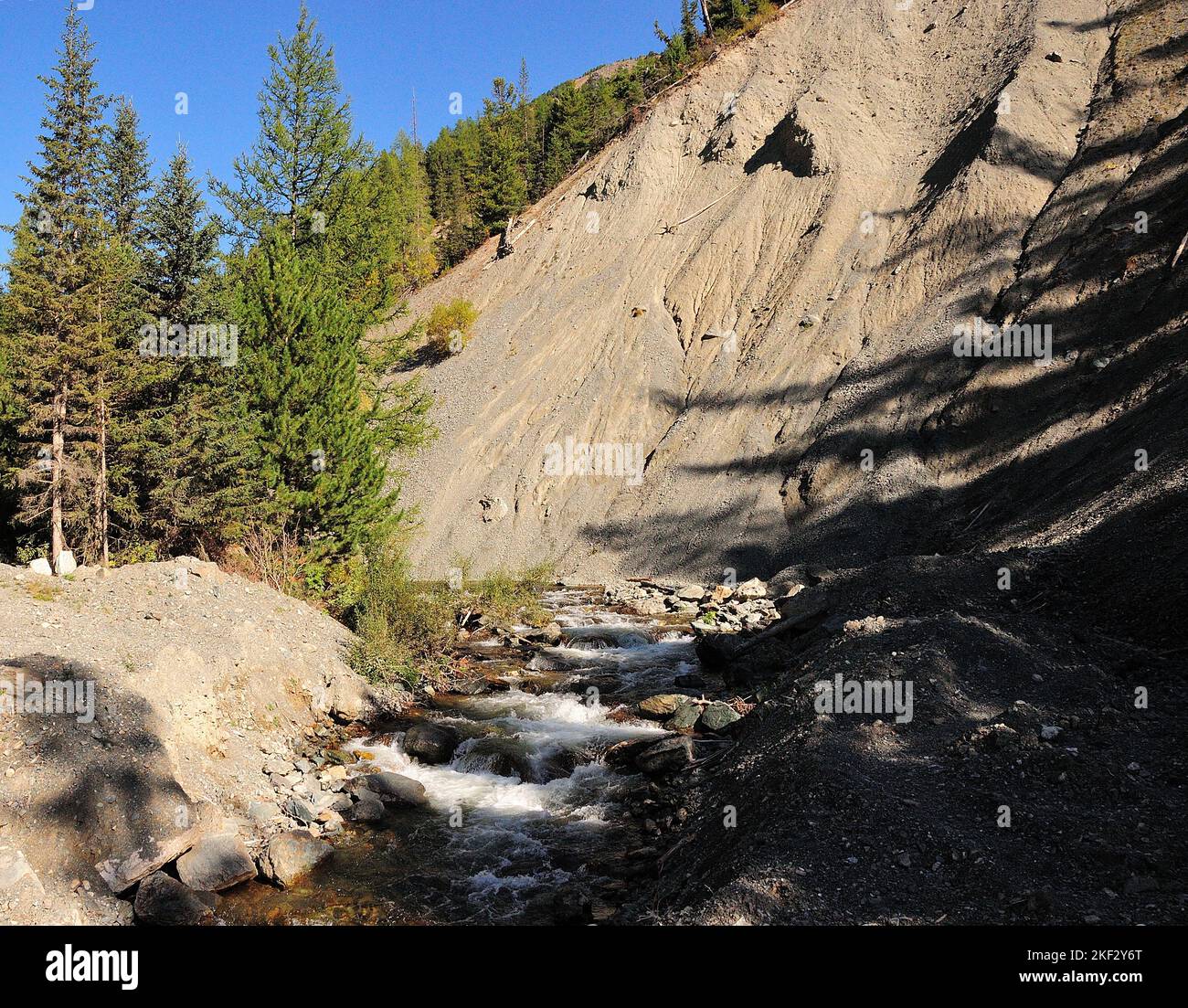 A stormy stream of a mountain river flows at the foot of a high cliff ...