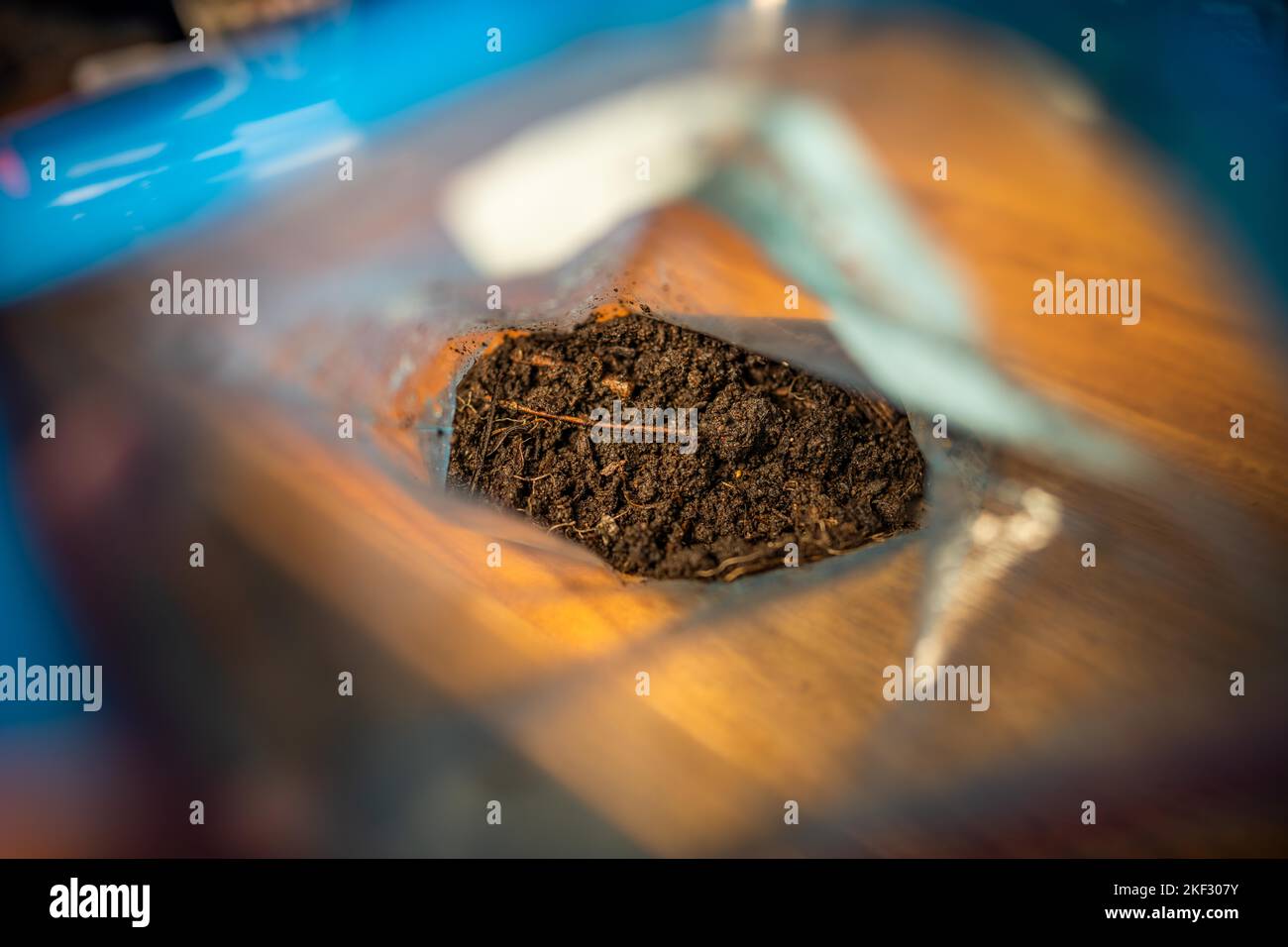 conducting a soil test in a home lab. soil on a table. brown dirt in a ...
