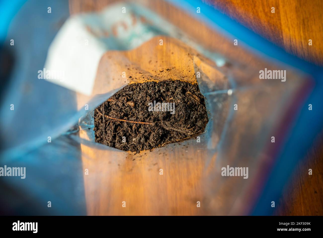 working in a soil lab iwth soil samples testing a soil test in ...