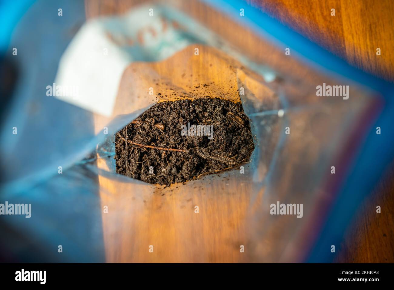 conducting a soil test in a home lab. soil on a table. brown dirt in a ...