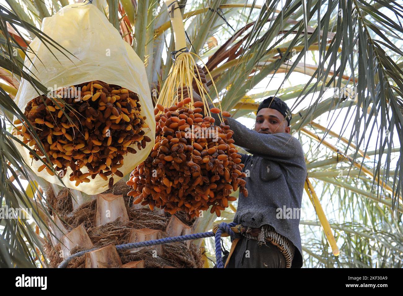 13 nov 2022 hi-res stock photography and images - Alamy