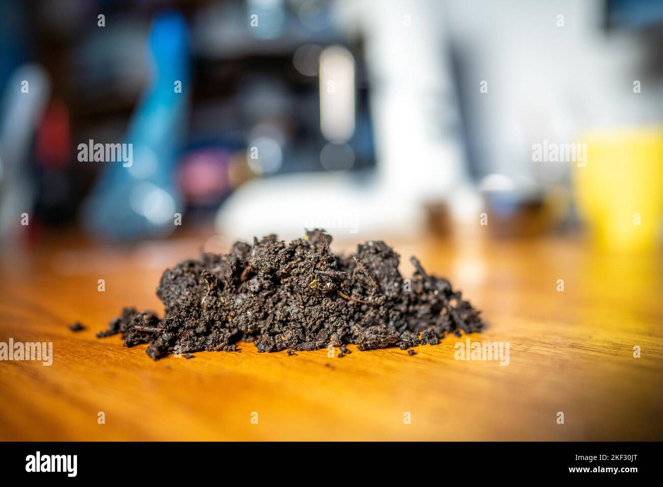 conducting a soil test in a home lab. soil on a table. brown dirt in a ...