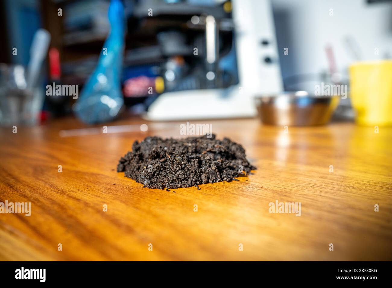 conducting a soil test in a home lab. soil on a table. brown dirt in a ...