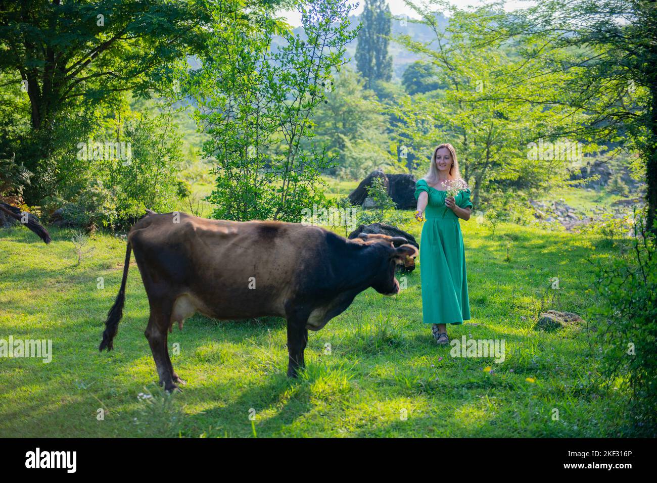 Cow and girl in country landscape hi-res stock photography and images ...