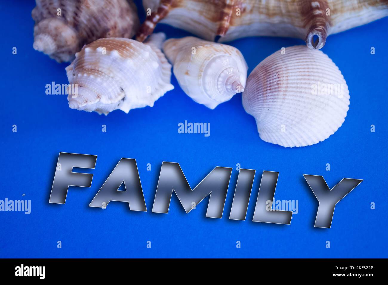 Animal Shell, Summer vacation, marine background with Family text Stock ...