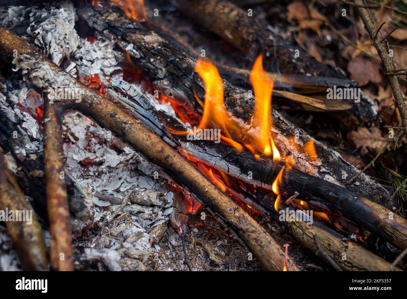 Branches of fire hi-res stock photography and images - Alamy