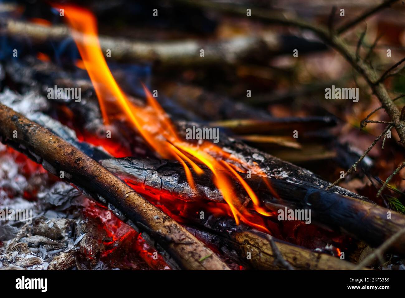 Campfire close up hi-res stock photography and images - Alamy