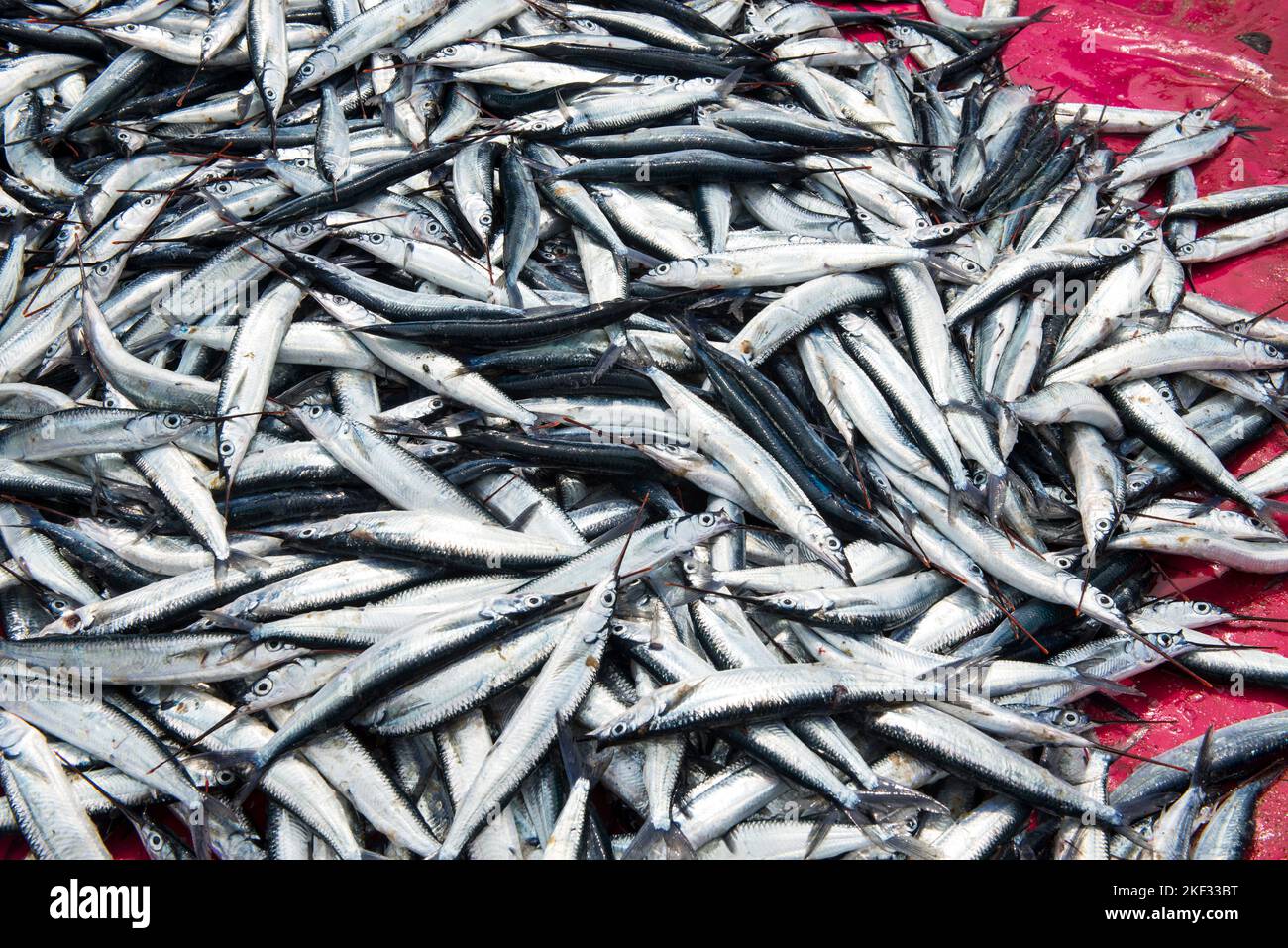 Small fish sale in hi-res stock photography and images - Alamy