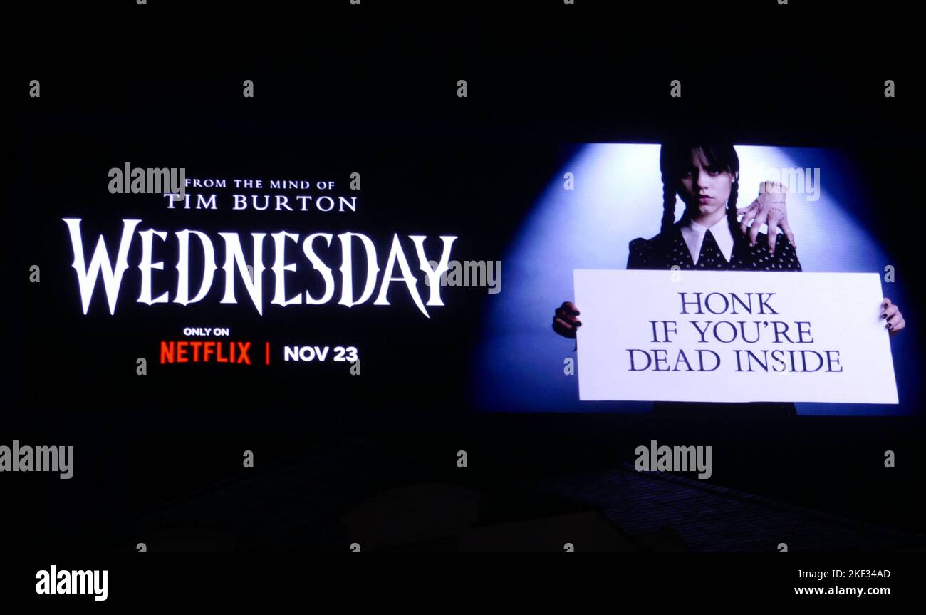 Los Angeles, California, USA 13th November 20212 A general view of ...